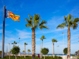 Home - CSS Valencia - Centre of Spanish Studies Valencia